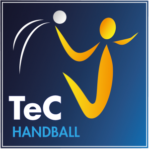 Championnat de France de national 2, le Tec handball recevait samedi 11 ...